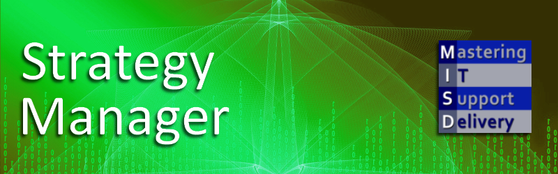 Support Strategy Manager - Mastering IT Support Delivery